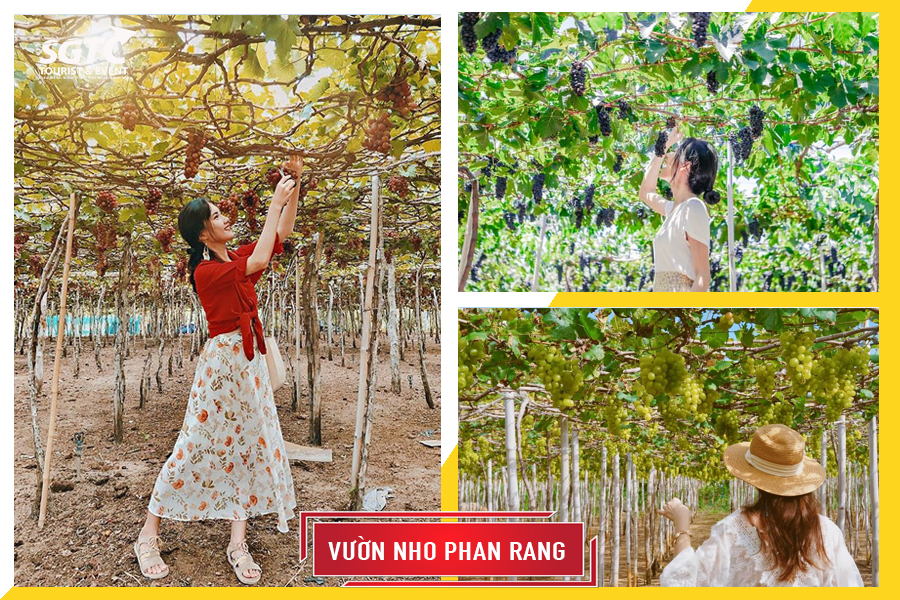TOUR NHA TRANG 30/4 - 3 NGÀY 3 ĐÊM - XE GIƯỜNG NẰM